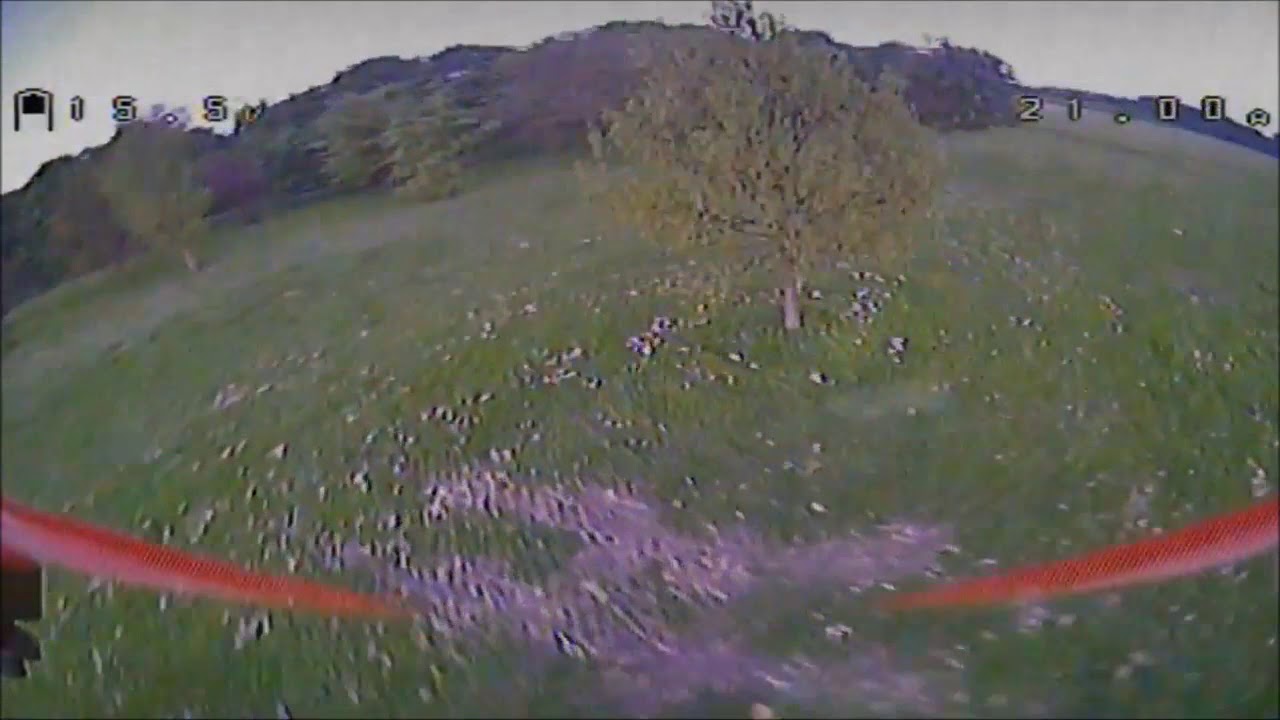 Hello Mr Tree - YouTube