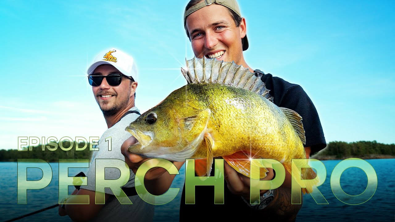 PERCH PRO 11 - Episode 1 - YouTube