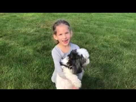 Brincando no quintal de casa.