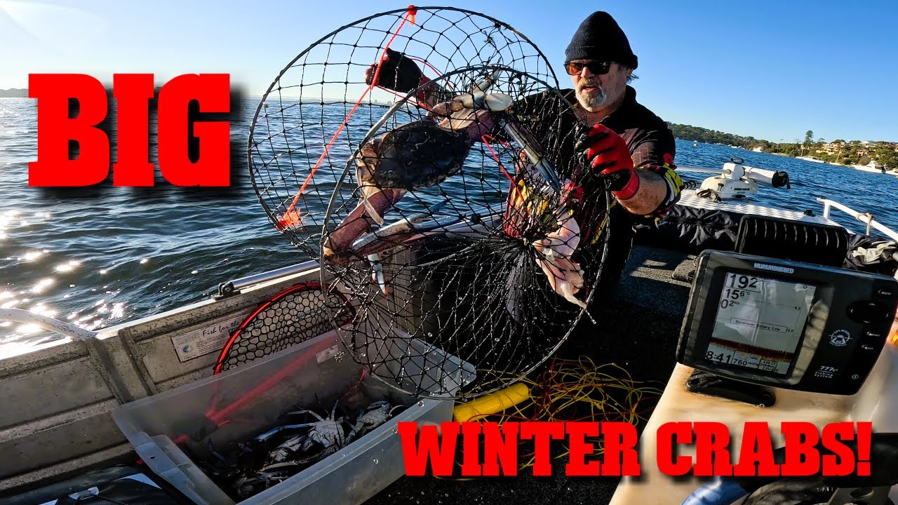 Perth Crabbing - Ep8, Big Winter Crabs and Favourite Catch And Cook ...
