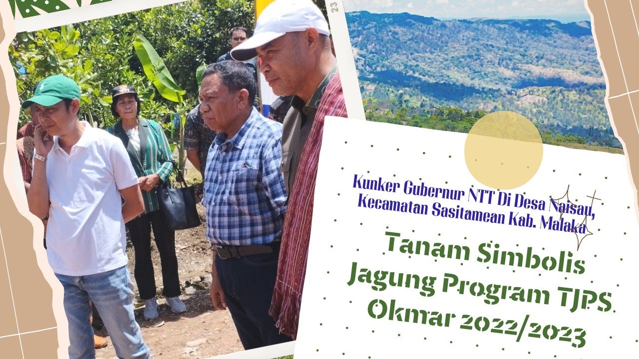 24/11/22|•|Kunker Gubernur NTT di Desa Naisau, Kab. Malaka|•|Tanam ...