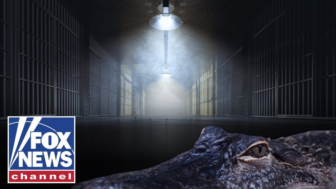 'Alligator Alcatraz': ICE detention center set to open in Florida - YouTube
