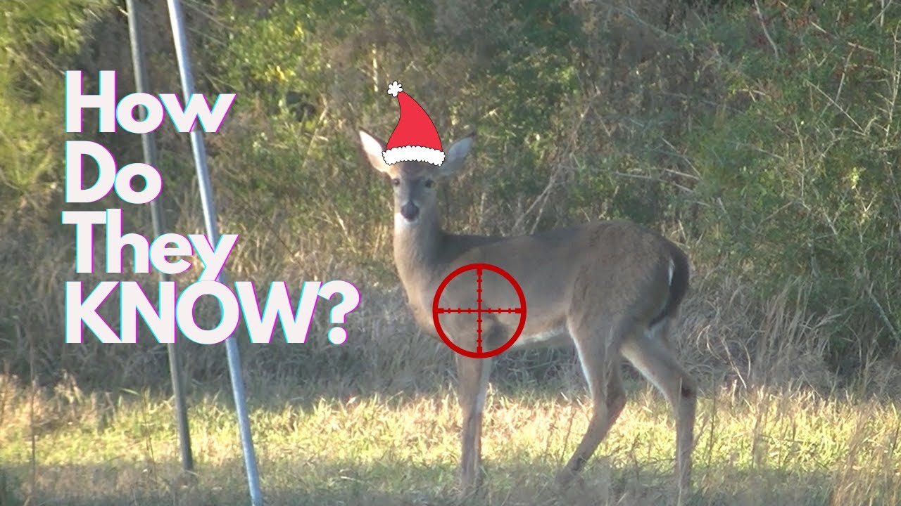 How Do They Know - YouTube