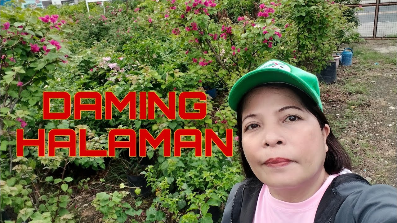 DAMING HALAMAN - YouTube