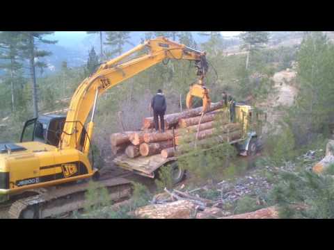 JCB Ekskavatör ile tormruk yükleme ataşmanı - Loading Logs with JCB Excavator