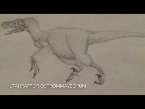 Utahraptor - Speed Drawing - YouTube