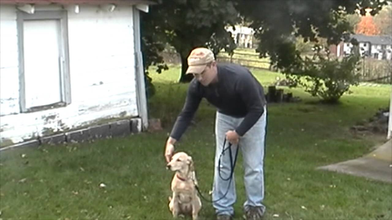 Daisy Boo Biggles - YouTube