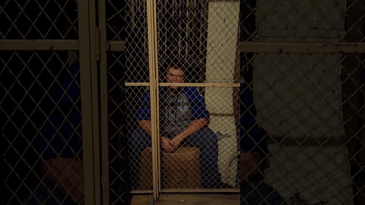 Logan BREAKS OUT OF THE CAGE!!!!!! - YouTube