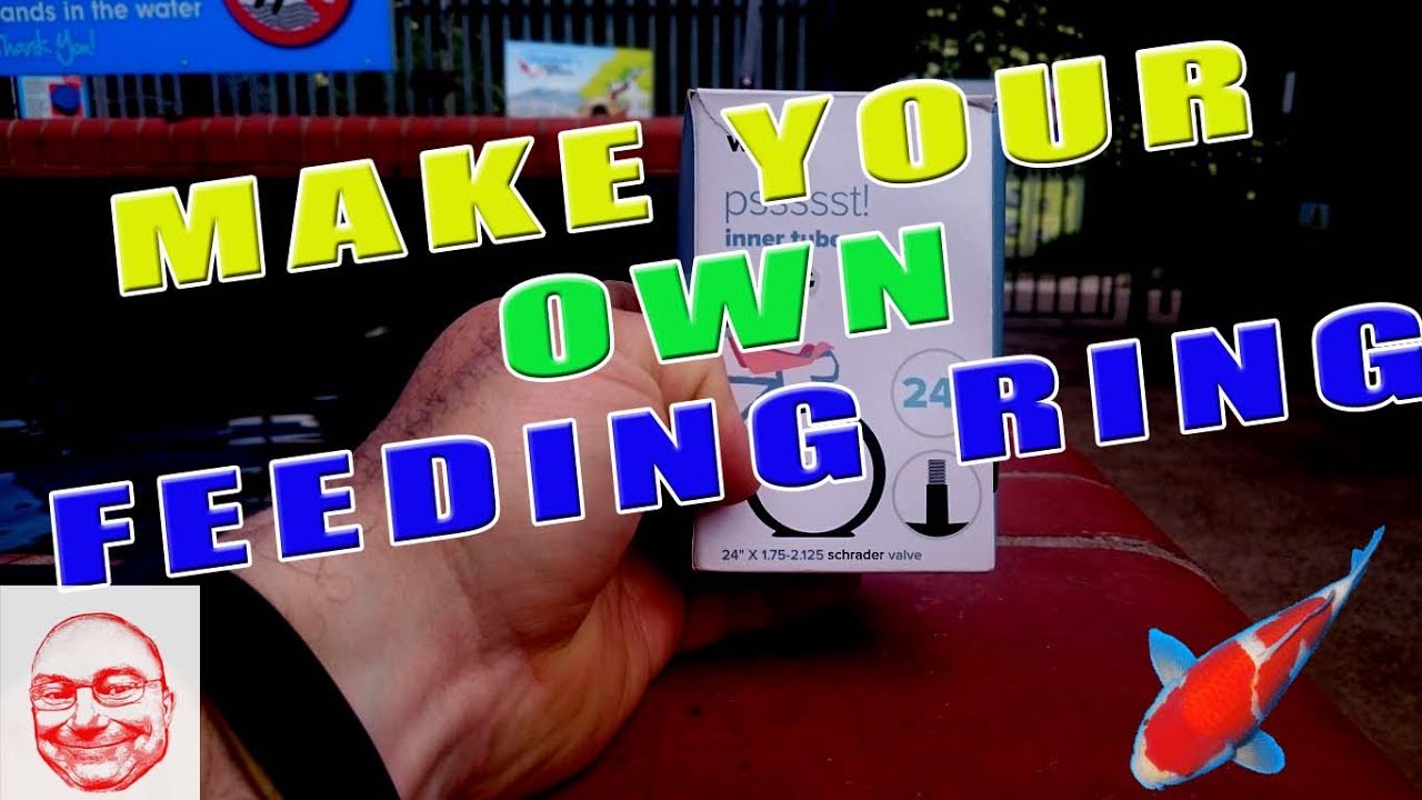 Make Your Own Feeding Ring. - YouTube