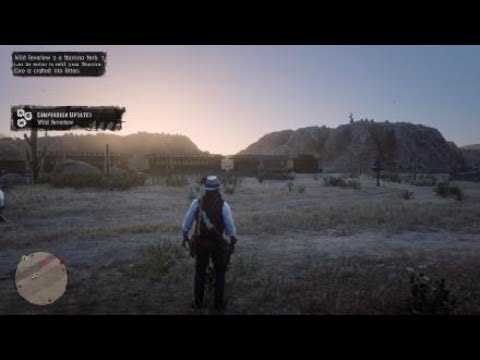 Red Dead Redemption 2 Wild Feverfew Location - YouTube