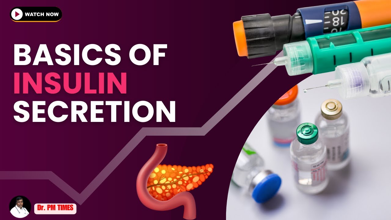 BASICS OF INSULIN SECRETION | Explained by DR. P. Murugesan | Diabetes ...