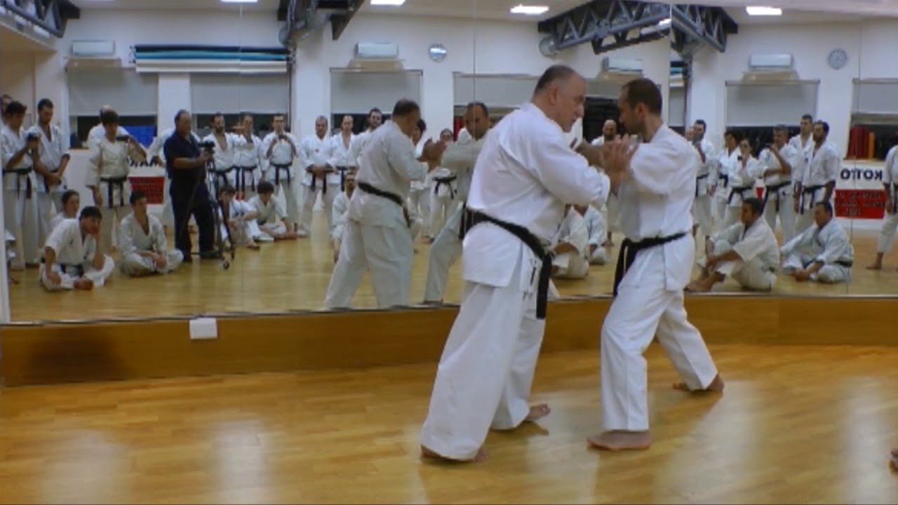 The Concept Of double Root In Makotokai Karate YouTube the-concept-of-double-root-in-makotokai-karate-youtube