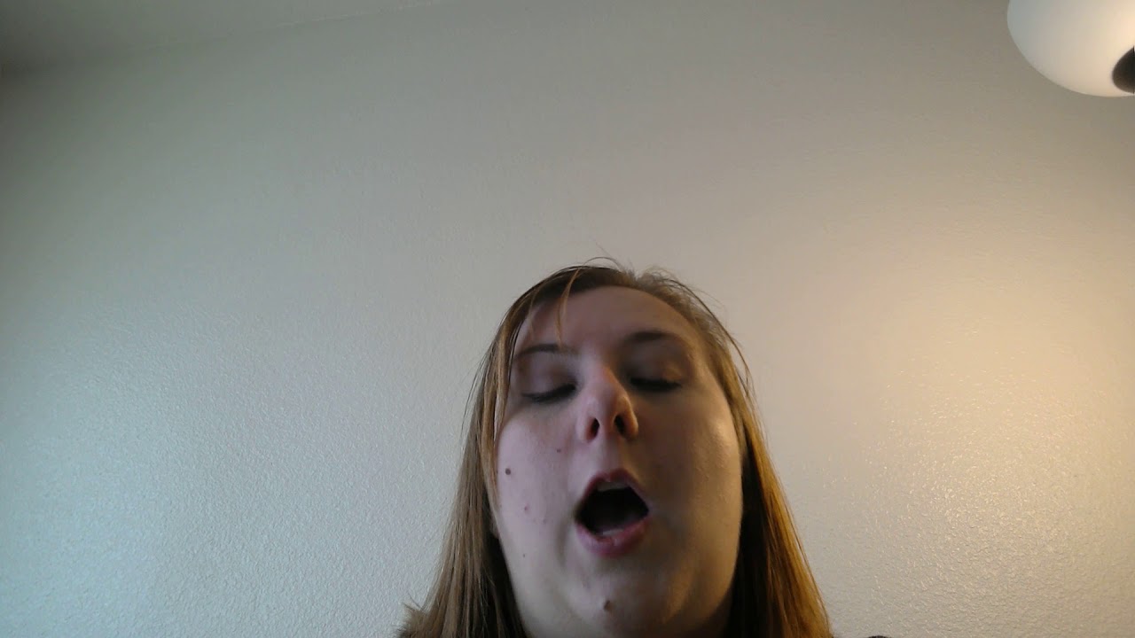 Jennifer Ratto video project Strategies for multiethnic service - YouTube