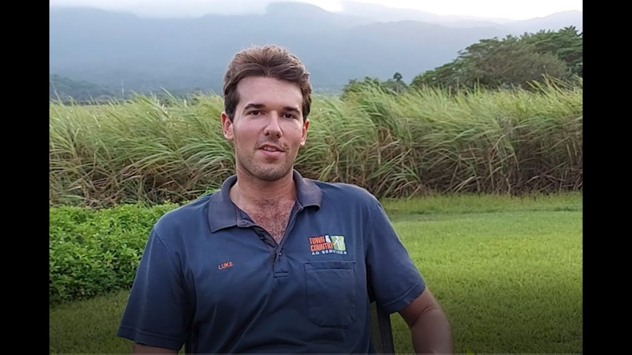 Working in the sugar industry - CANEGROWERS - YouTube