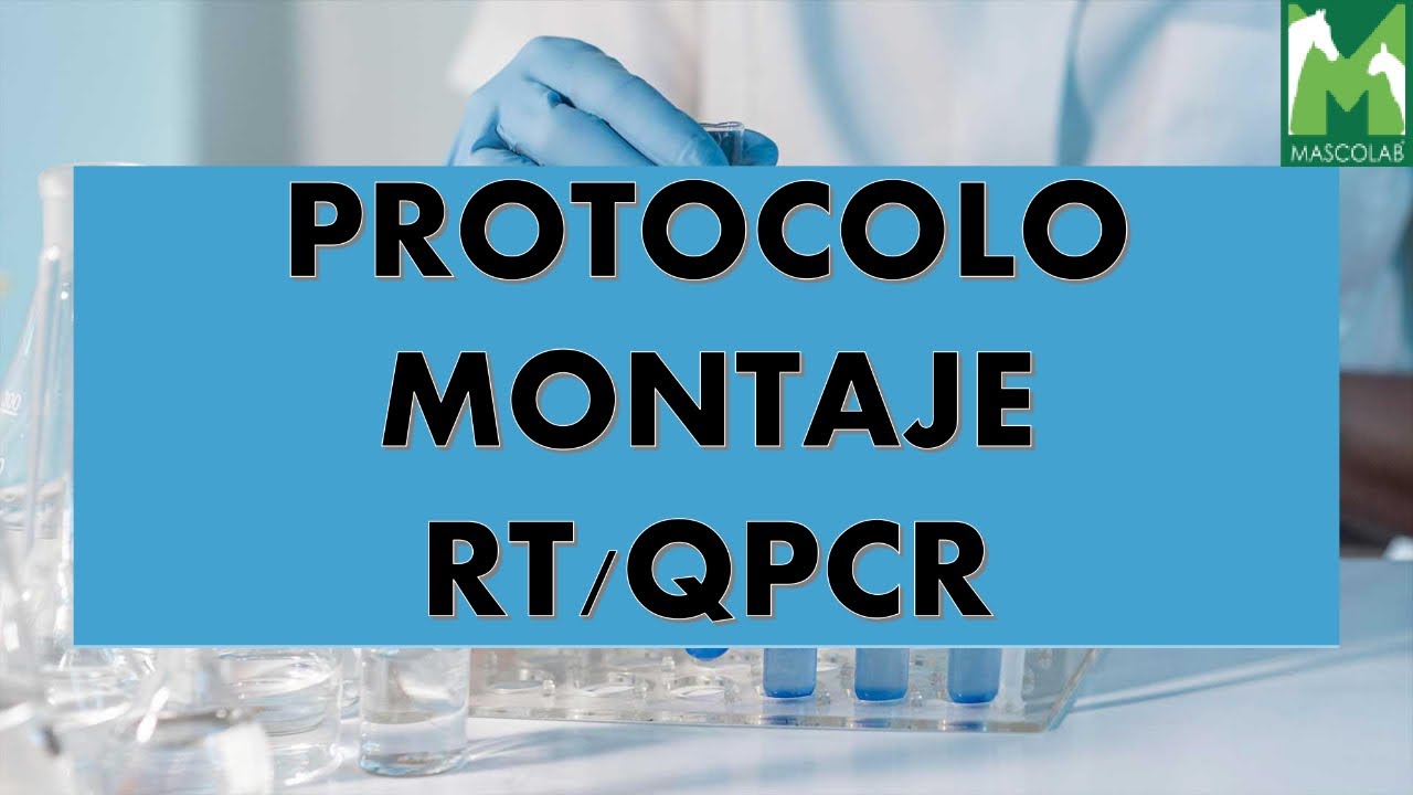 Protocolo montaje RT/qPCR / Guía para emitir resultados PCR como diagnóstico in vitro - YouTube