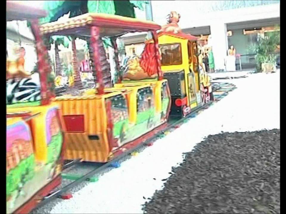 Safari Train on board - YouTube