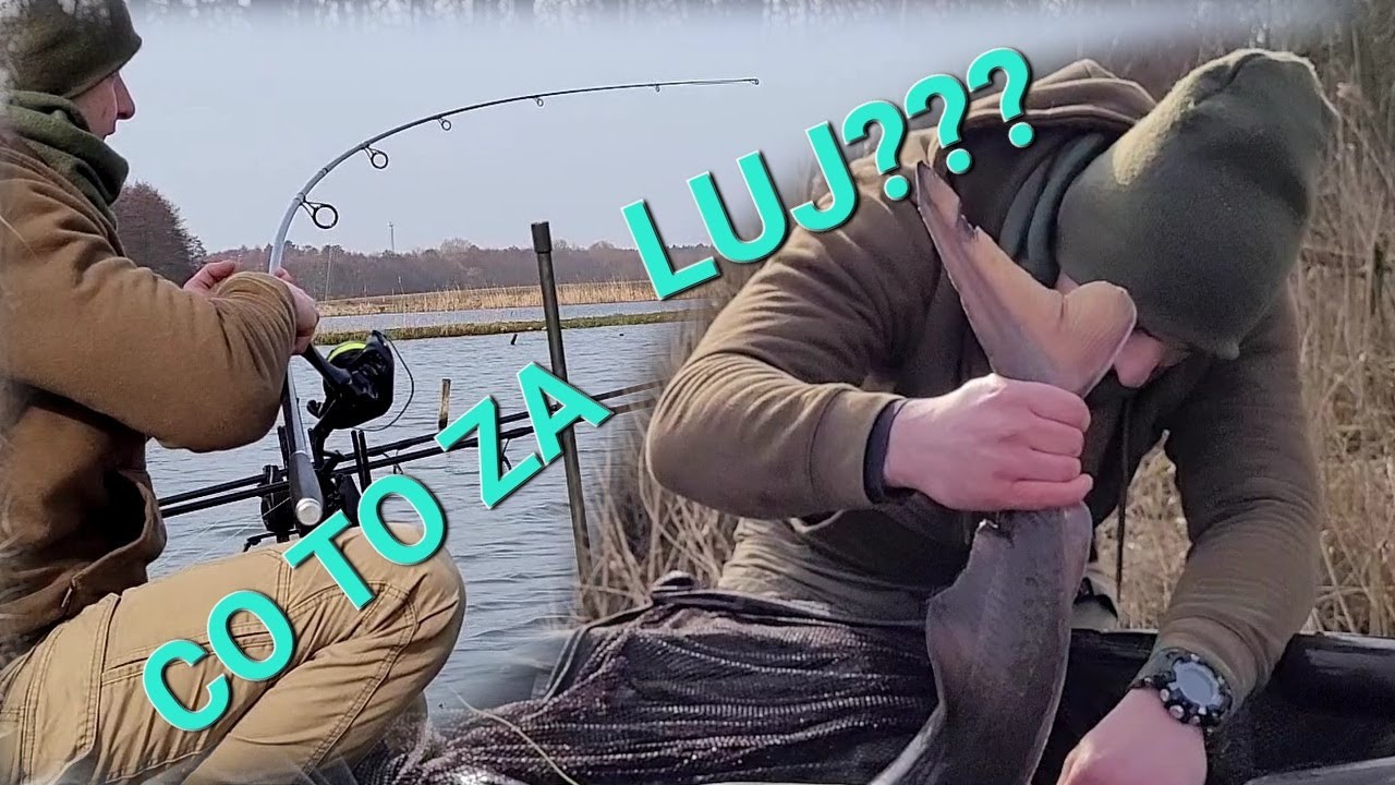 Co to za LUJ? pamietaj podbierak ostatni - YouTube