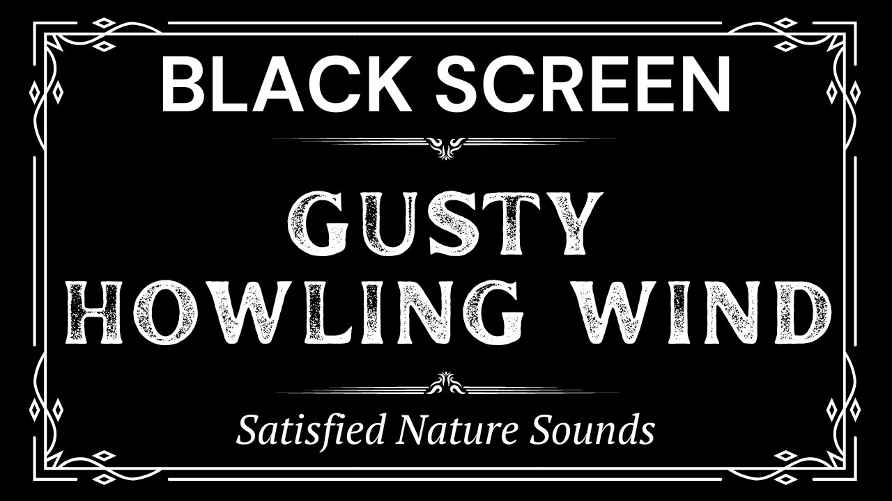 Gusty Howling Wind Sounds 10 Hours | Satisfied Nature Sounds | Black ...