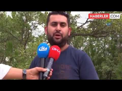 usak ta boz ayi goruldugu iddiasi
