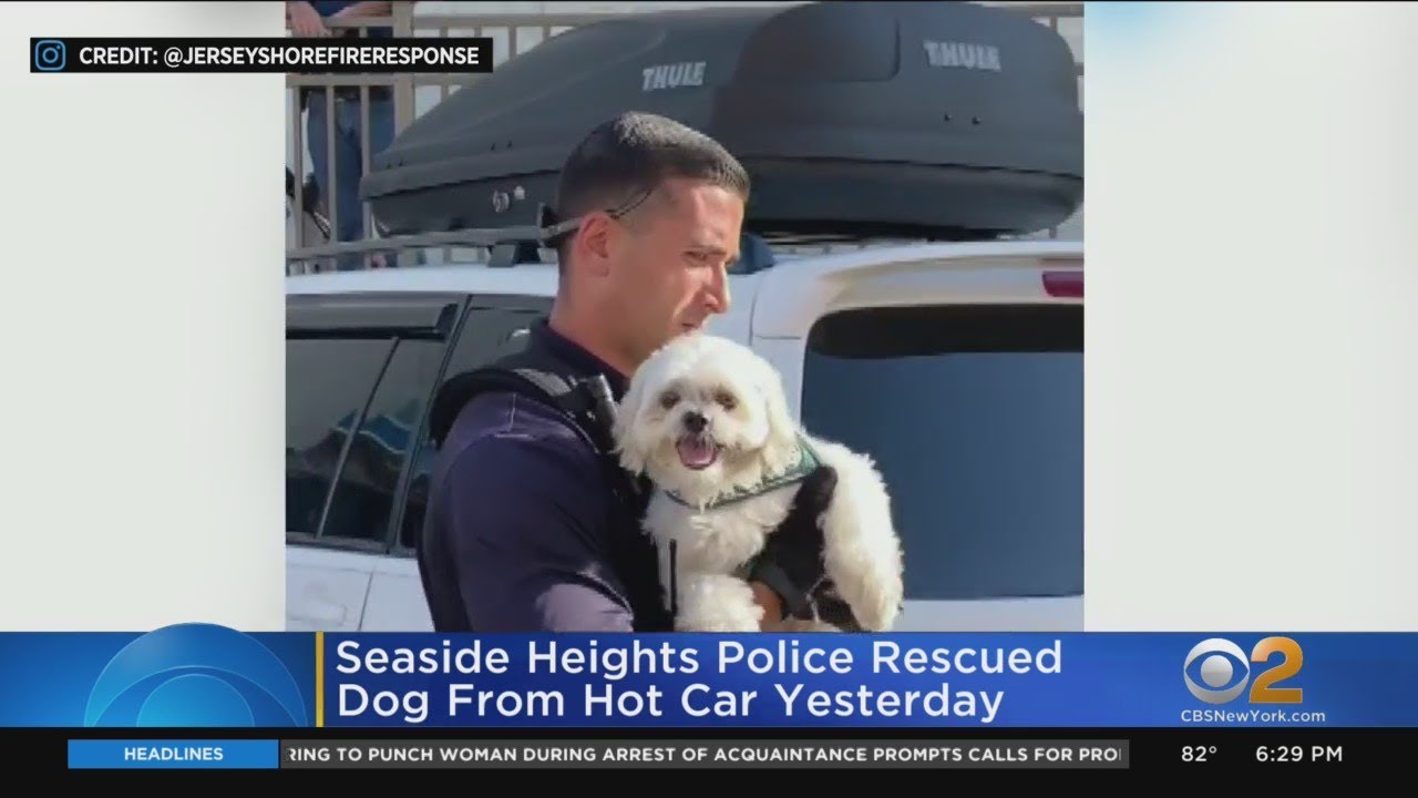Seaside Heights police rescue dog from hot car - YouTube