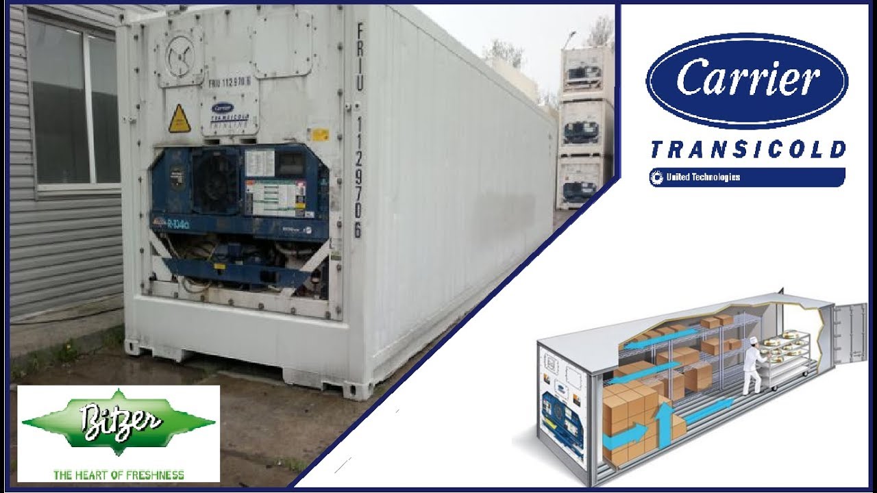 Рефконтейнер Carrier transicold 69 NT40-511 Micro Link-2. Выбивает ...