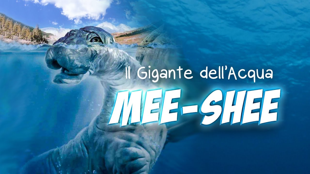 ME SHEE IL GIGANTE DELL'ACQUA - Trailer Ita - YouTube