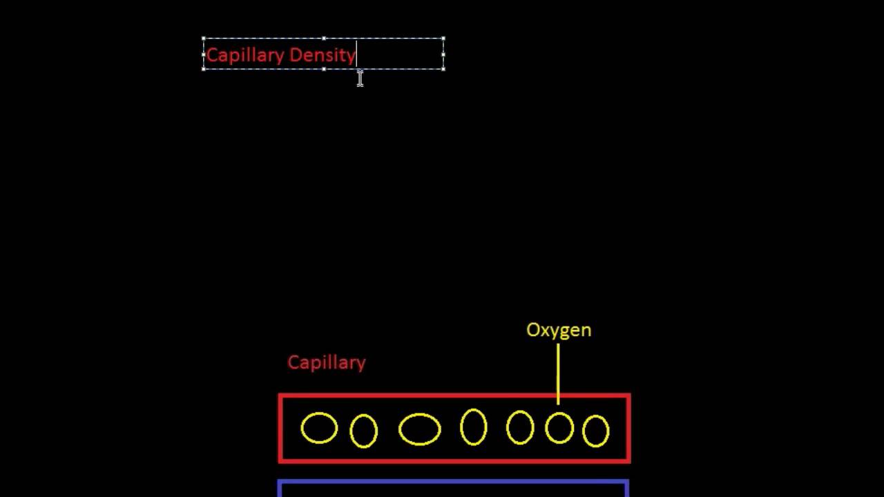 Skeletal Muscle Adaptations to Endurance Exercise - YouTube