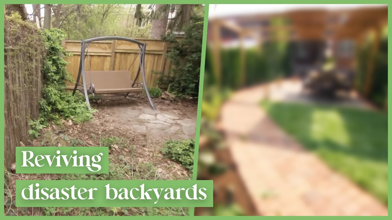 Can We Save These Unsavable Backyards? - YouTube