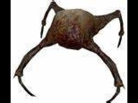 fast headcrab - YouTube