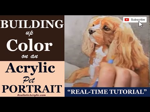 Building Up Color on an Acrylic Pet Portrait| REALISTIC PAINTING ...