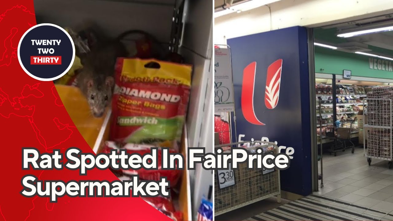 Rat Spotted At Pasir Ris West Plaza FairPrice Supermarket - YouTube