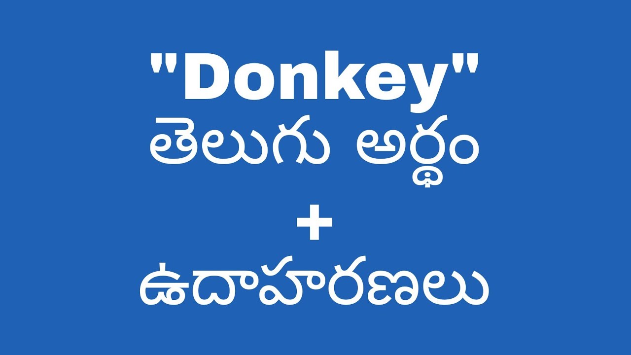 Donkey meaning in telugu with examples | Donkey తెలుగు లో అర్థం ...
