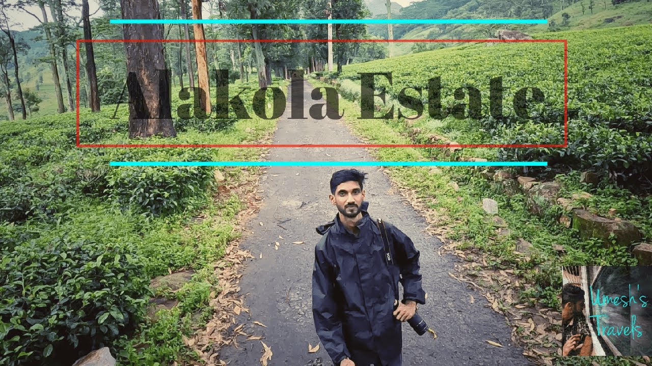 Exploring Alakola estate | අලකොල වතුයාය | Sri Lanka - YouTube