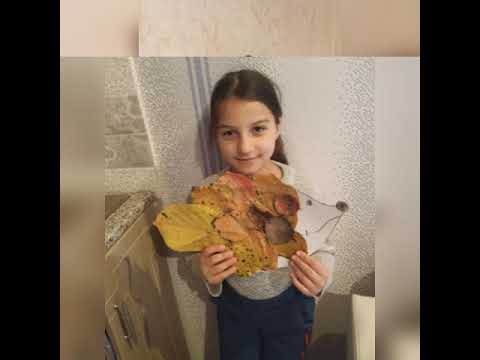 Qızıl payız