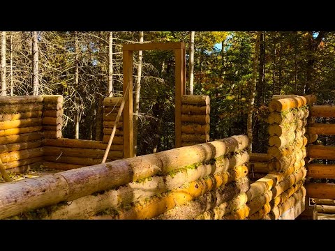 Building an off grid log cabin in the Canadian wilderness homestead ...