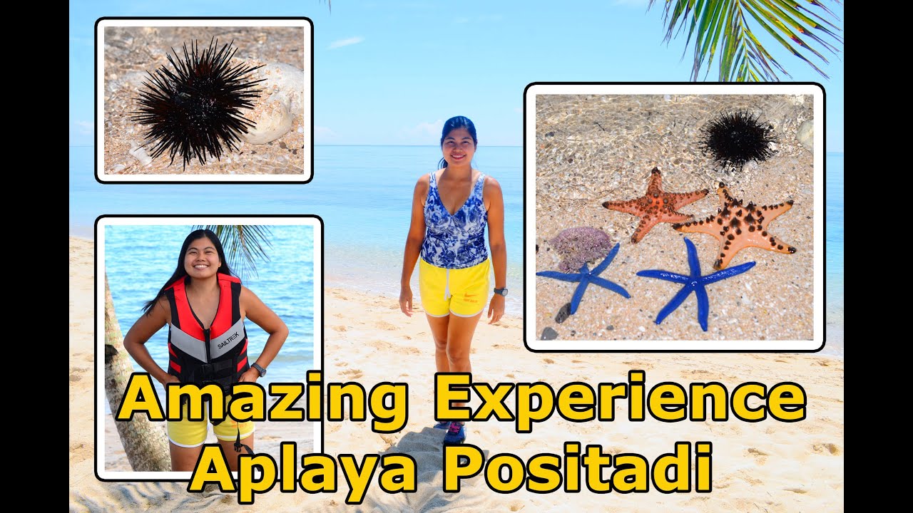 Amazing Experiences at Aplaya Positadi Resort | Overnight - YouTube