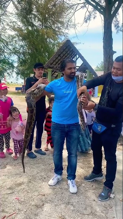 With Python in Malaysia - YouTube
