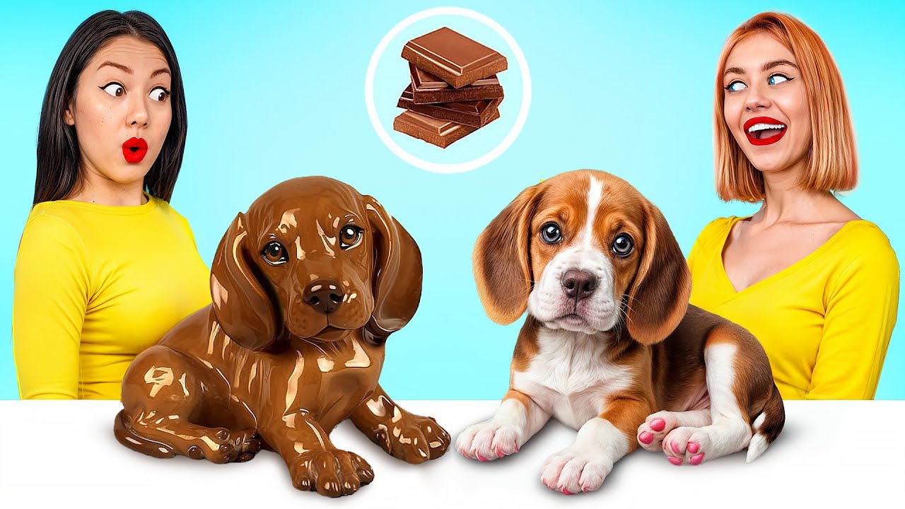 Real Food vs Chocolate Food Challenge | Extreme Cooking Challenge by ...