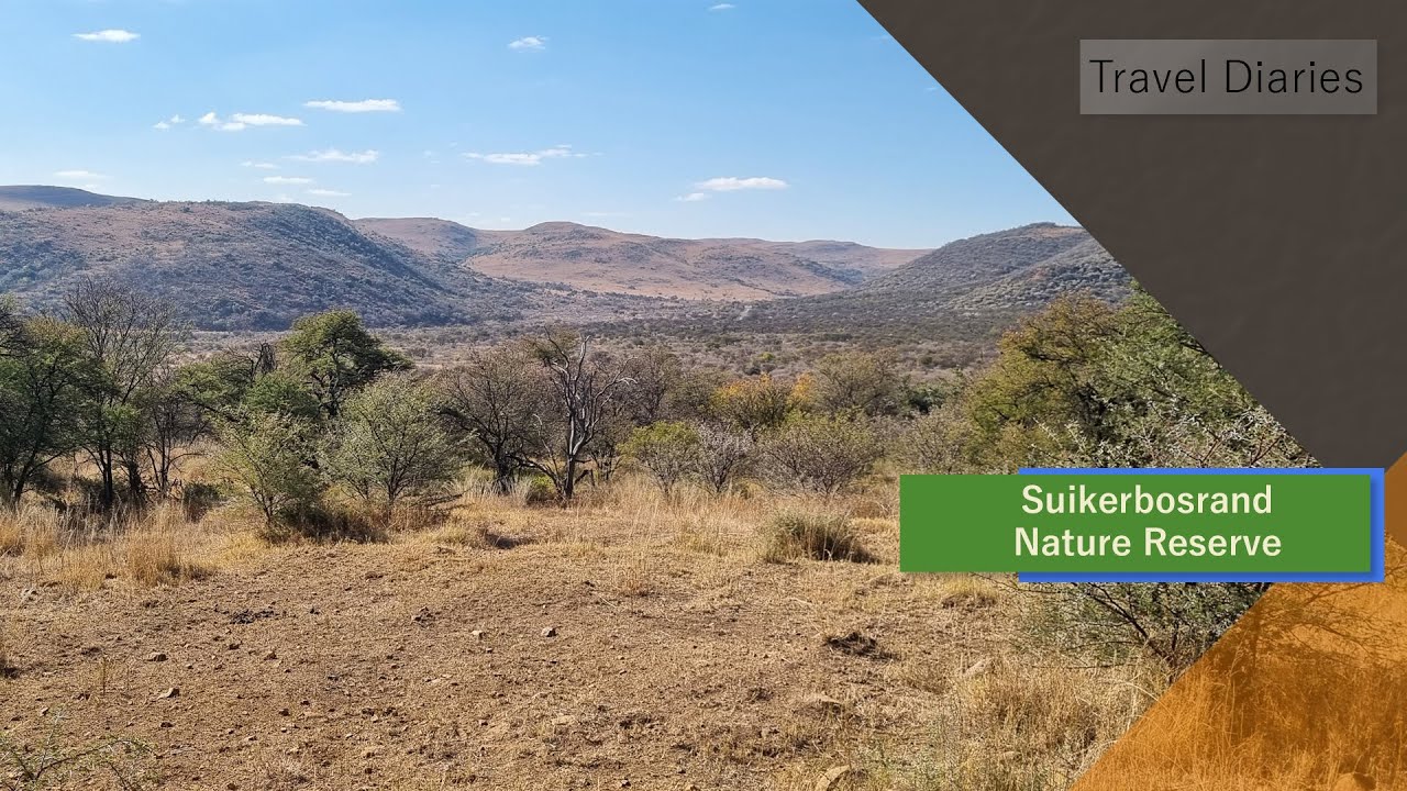 Suikerbosrand Nature Reserve | Canon EOS 90D - YouTube