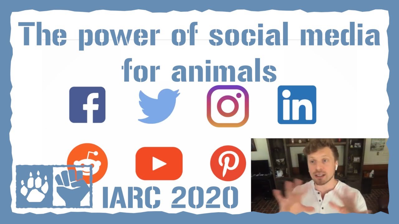 The power of social media for animals - John Oberg [IARC2020] - YouTube