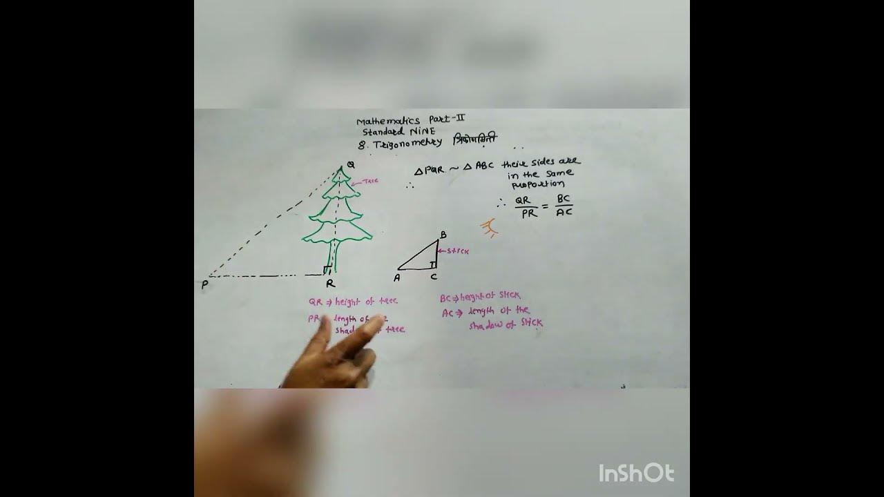 Trigonometry. To find height of tall tree 🌲 using properties of similar triangles.std -nine ...