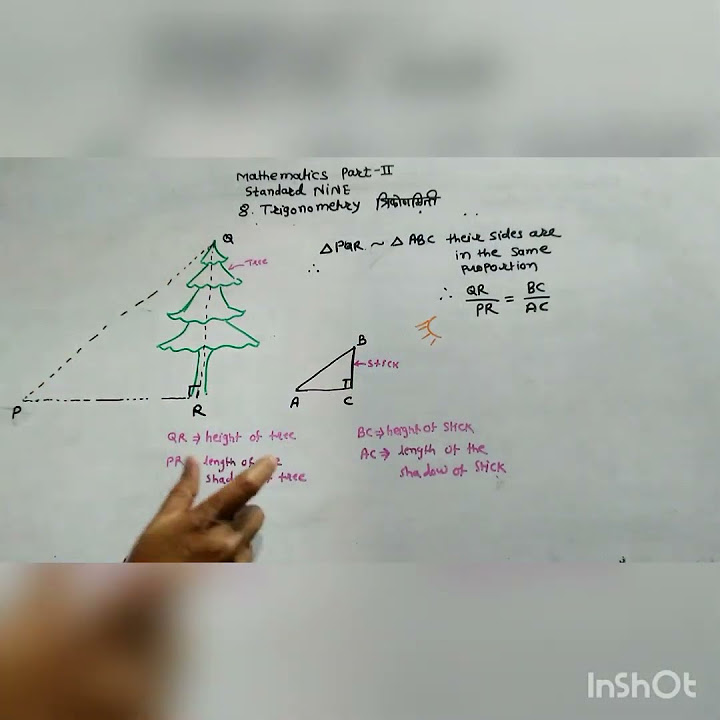 Trigonometry. To find height of tall tree 🌲 using properties of similar triangles.std -nine ...