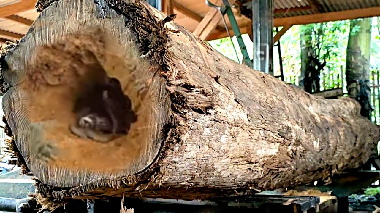 the process of cutting long teak trees into blocks and furniture ...