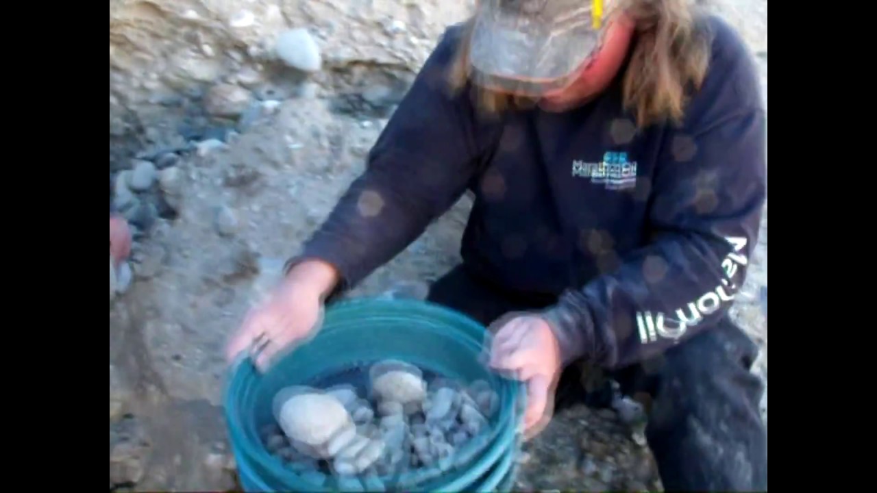 Tips on how and where to find gold in Wyoming - YouTube