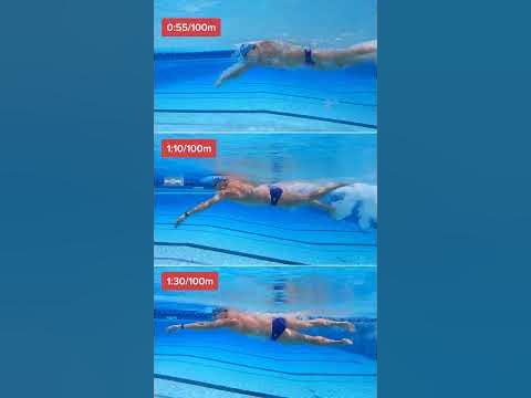 Spot the Difference Between These Three Swim Speeds - YouTube