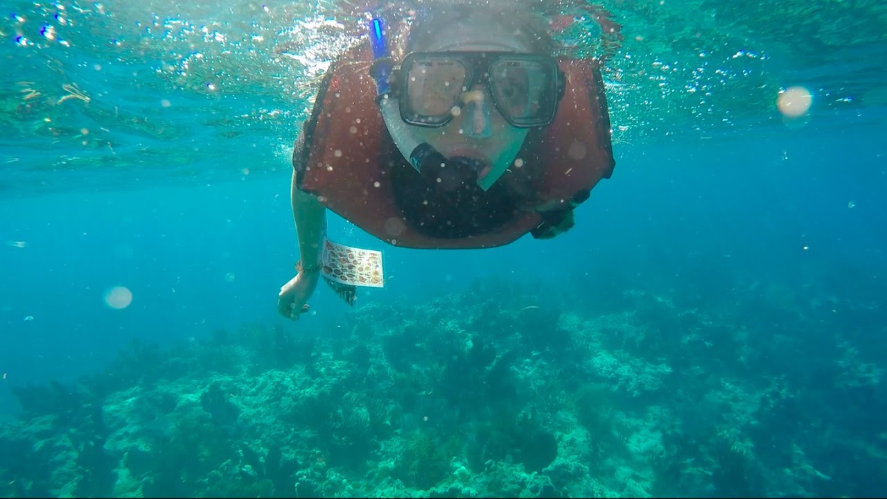 Salt, Snorkeling, and Sunburns (Spring Break In Florida Pt.2) - YouTube
