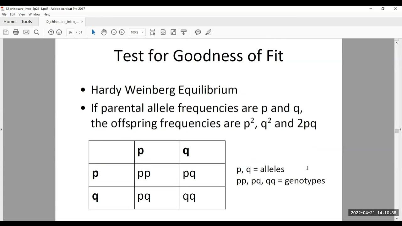 Test for Hardy-Weinberg Equilibrium Example Problem - YouTube