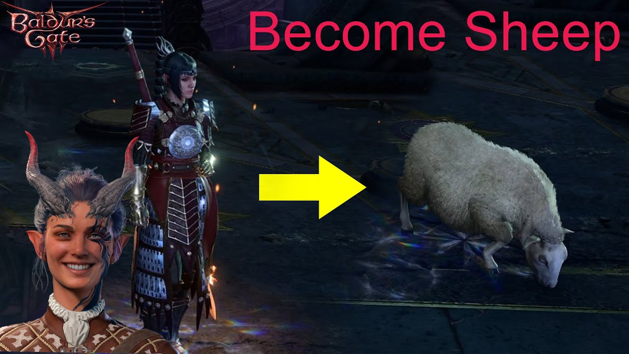 BG3: What happens if you turn Shadowheart to sheep in front of Shar ...