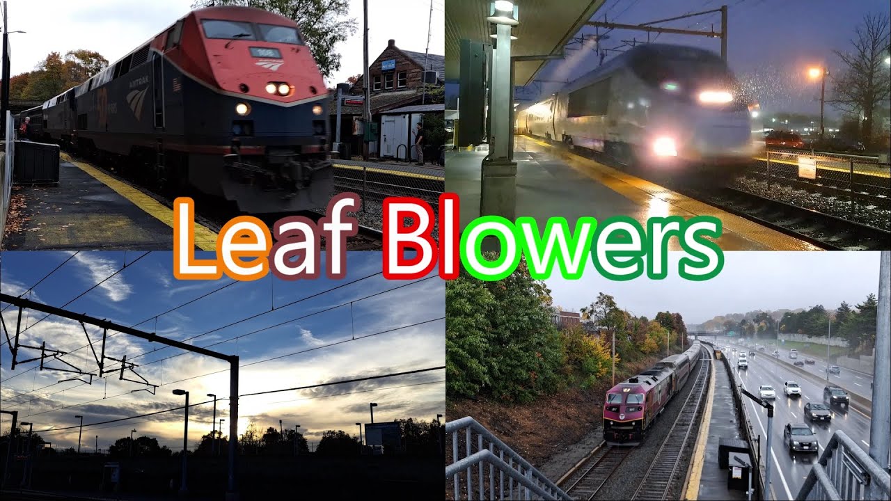 Leaf Blowers: Eastern New England Express Train Variety (Autumn 2022 ...