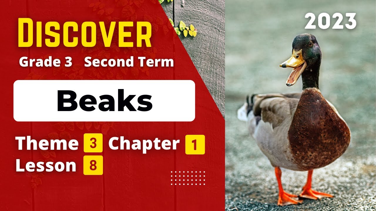 Grade 3 | Discover | Theme 3 - Chapter 1 - Lesson 8 | Beaks - YouTube